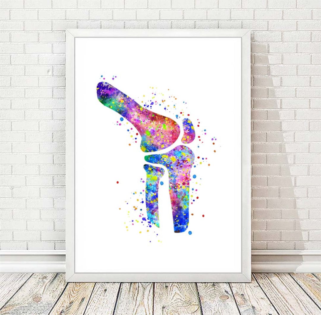 Knee Print Anatomy Poster Human Body Anatomy Art Leg Bones Medical Art ...