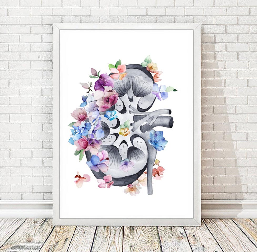 Kidney Art Print Anatomy Print Anatomical Poster Nephrology Print ...