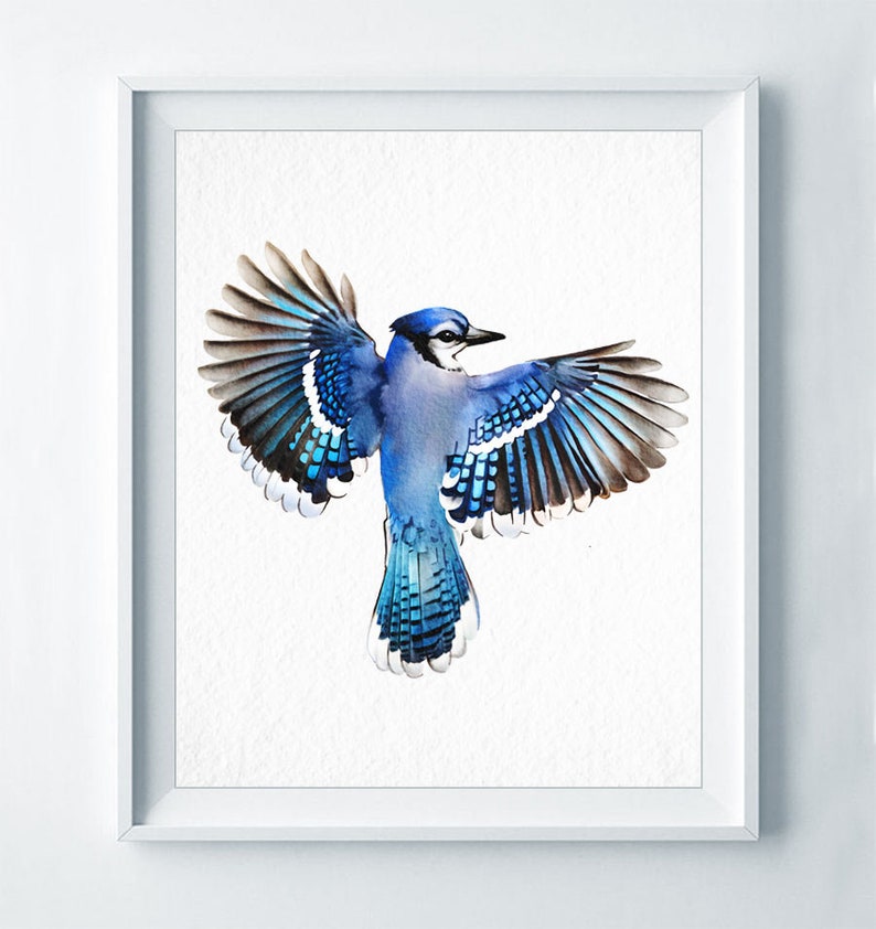 Blue Jay Art Print Birds Wall Art Watercolor Painting Decor | Etsy