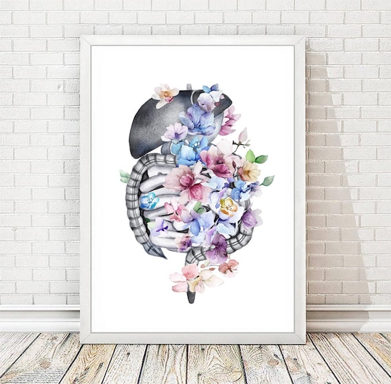 Digestive System Anatomy Print Anatomical Poster Digestive | Etsy