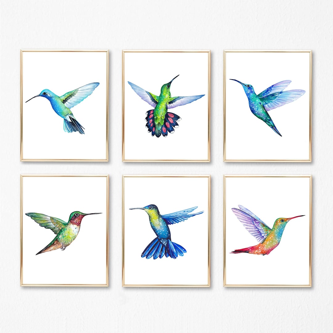 Hummingbird Art, Set of 6 Prints, Hummingbird Art Poster Decor, Humming ...