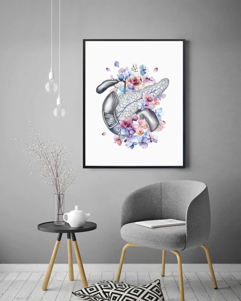 Pancreas Art Print Doctor Poster Gift Medical Art Print Digestive ...