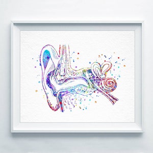 Ear Anatomy Print Audiology Poster Ear Diagram Middle Ear Science ...