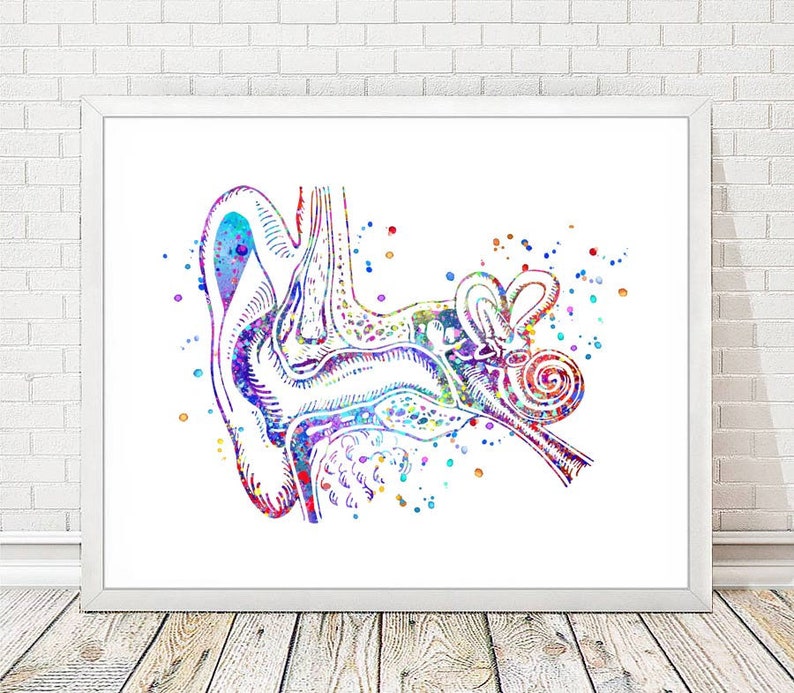 Ear Anatomy Print Audiology Poster Ear Diagram Middle Ear Science ...