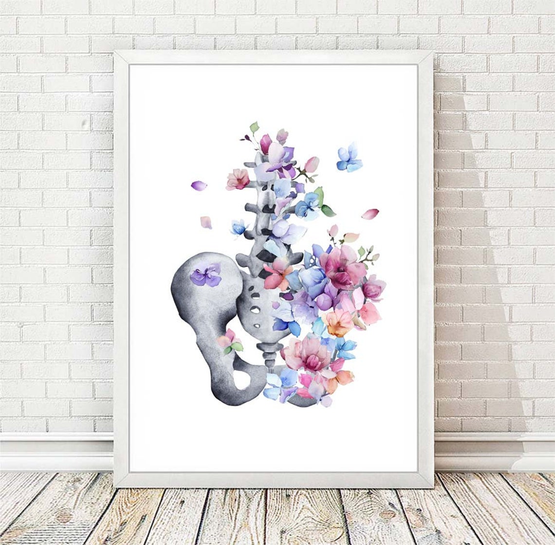 Pregnancy Anatomy Print Doctor Gift Reproductive System Baby in Womb ...