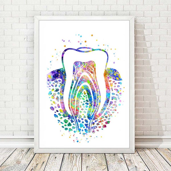 Tooth Anatomical Poster - Etsy