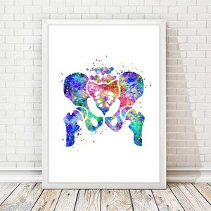 Hip Joints Print Pelvis Anatomy Art Wall Decor Watercolor Bones Poster ...