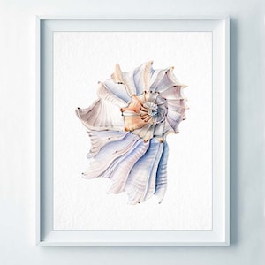 Set of 6 Watercolor Seashell Art Prints, Seashell Paintings, Nautical ...