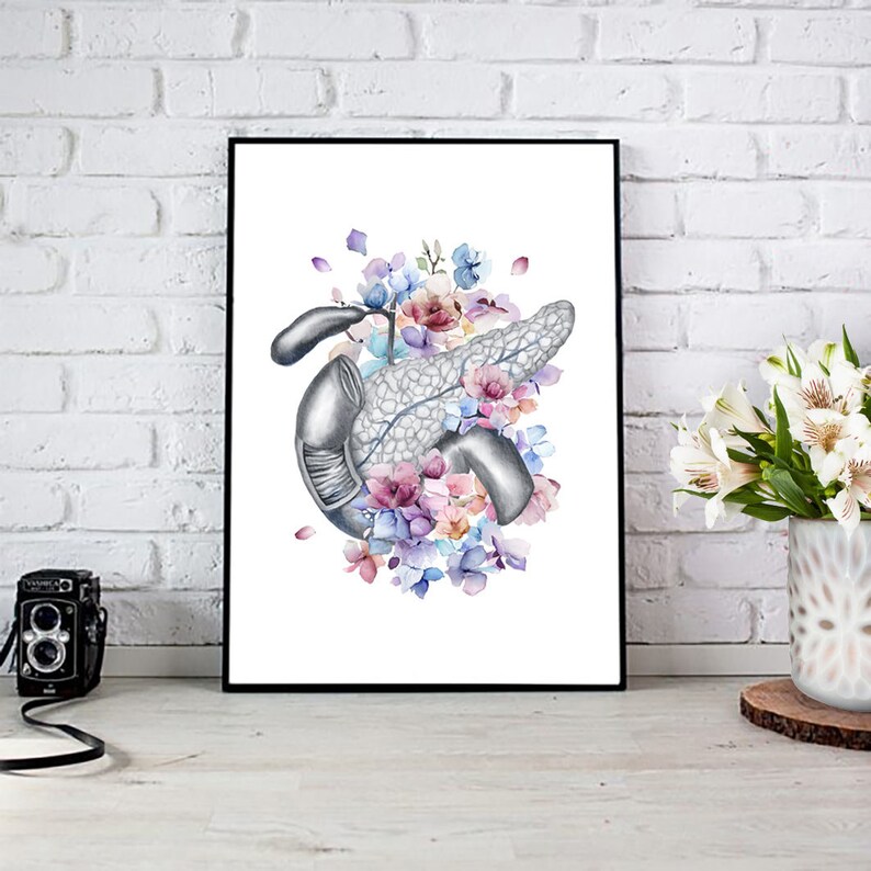 Pancreas Art Print Doctor Poster Gift Medical Art Print - Etsy