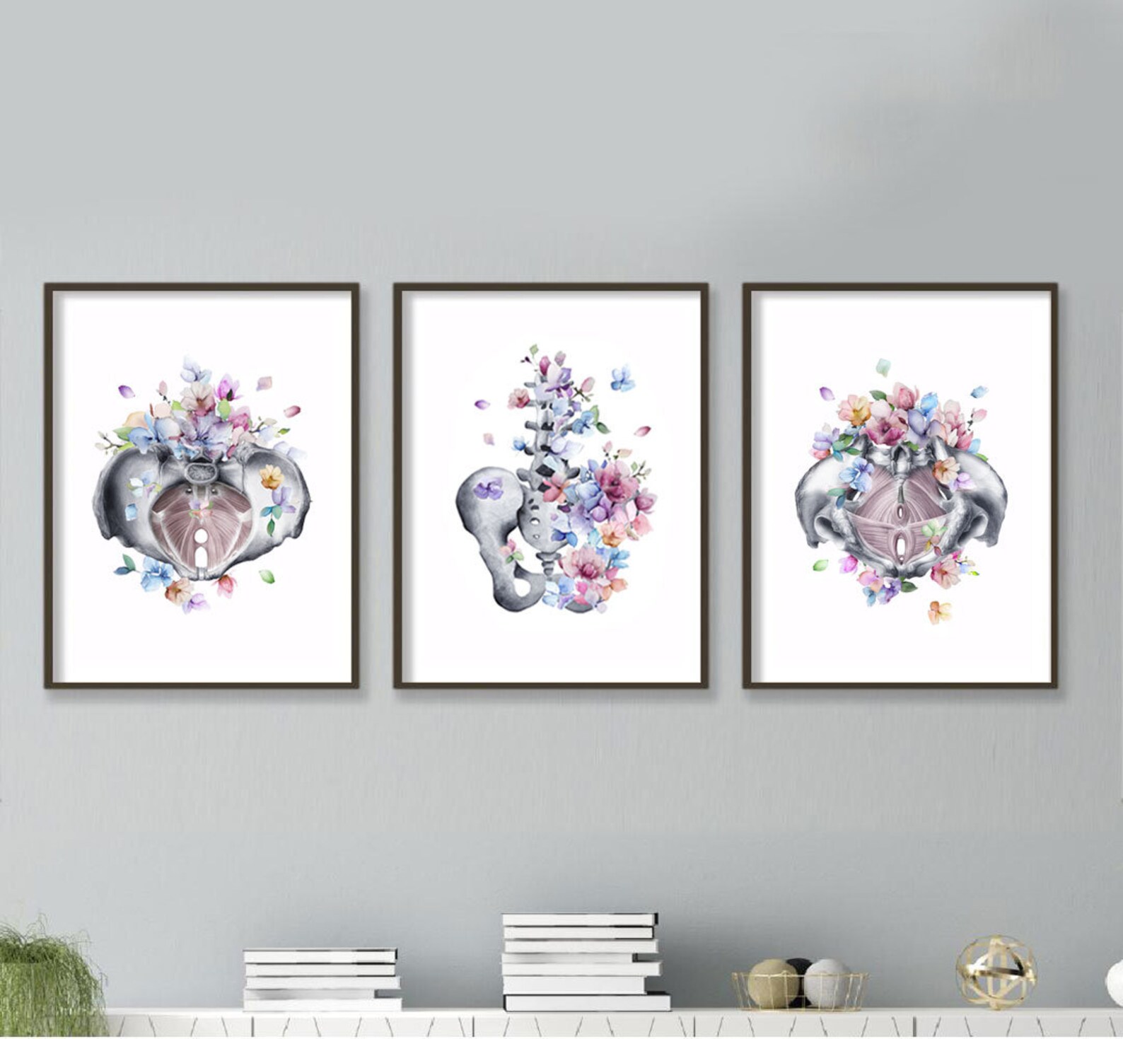Pelvis Anatomy Print Set, Set of 3 Pelvic Floor Muscles Art Posters ...