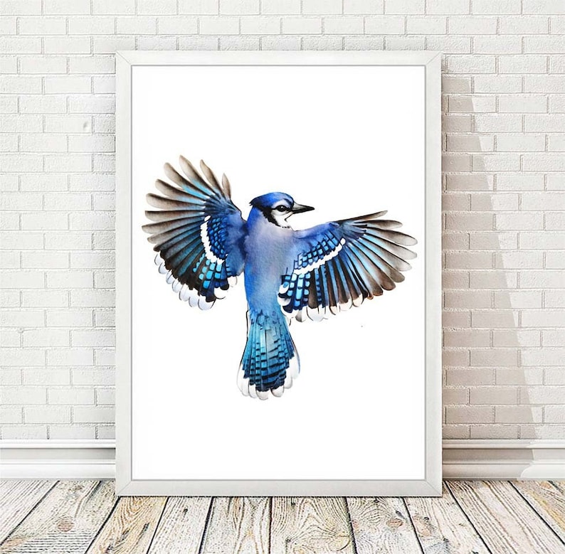 Blue Jay Art Print Birds Wall Art Watercolor Painting Decor | Etsy