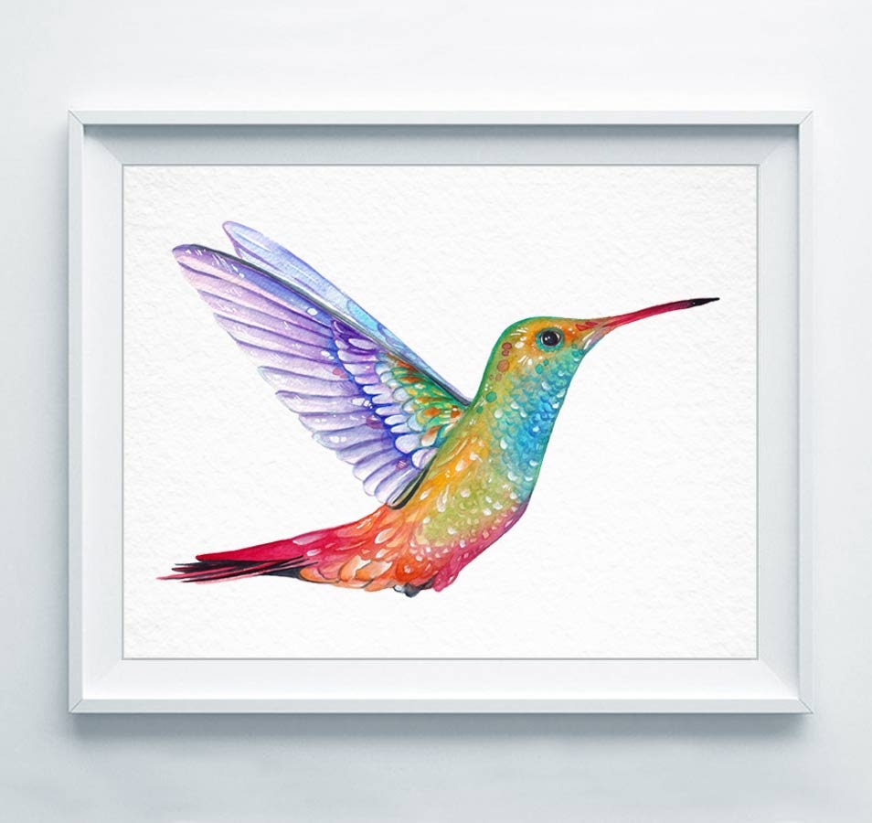 Hummingbird Art Set of 6 Prints Hummingbird Art Poster - Etsy