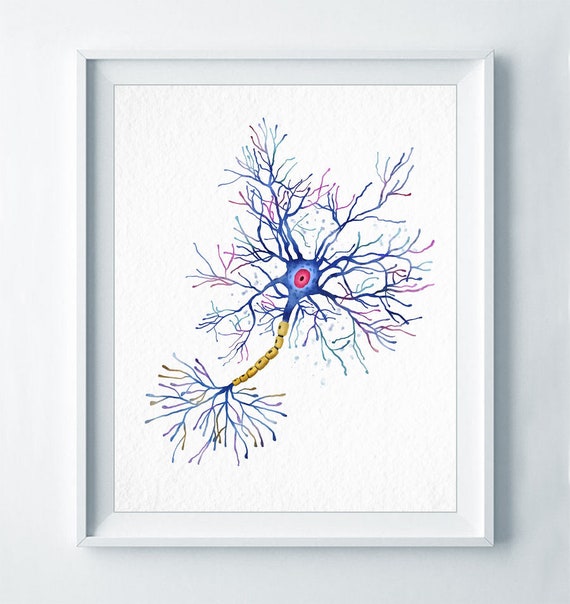 Nerve Cell Drawing