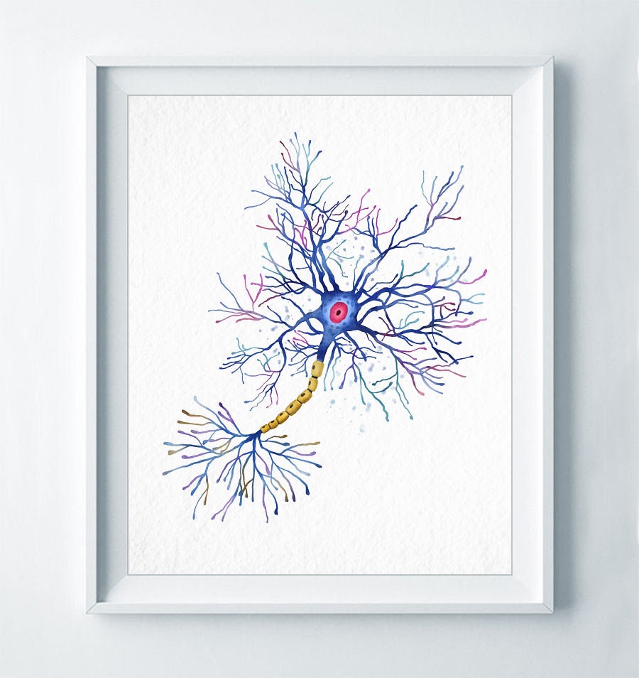 Neuron Art Print Nerve Cell Wall Art Neurons Drawing Gift - Etsy