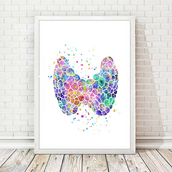 Endocrine System Poster - Etsy