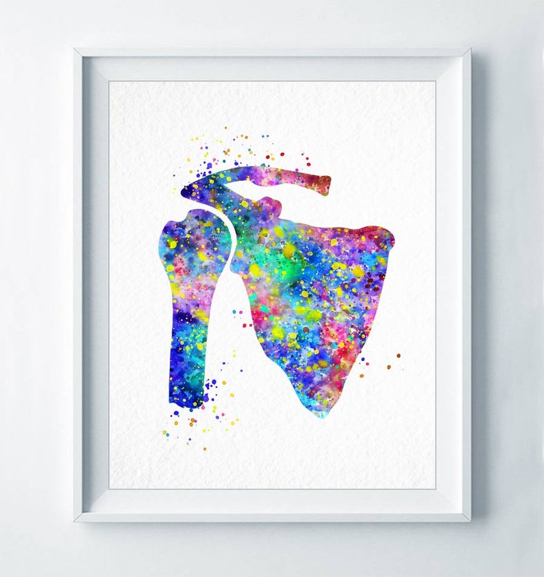 Shoulder Print Bones Watercolor Poster Human Body Anatomy Art | Etsy