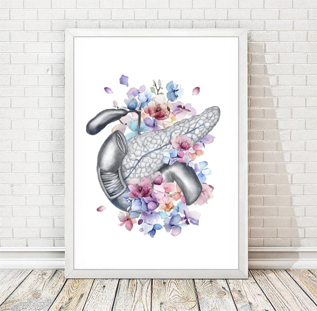 Pancreas Art Print Doctor Poster Gift Medical Art Print Digestive ...