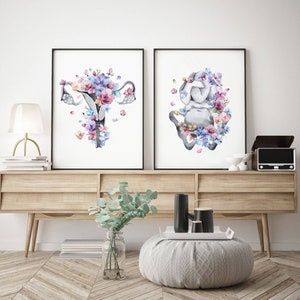 Baby in Womb Anatomy Print Doctor Gift Reproductive System Embryo ...