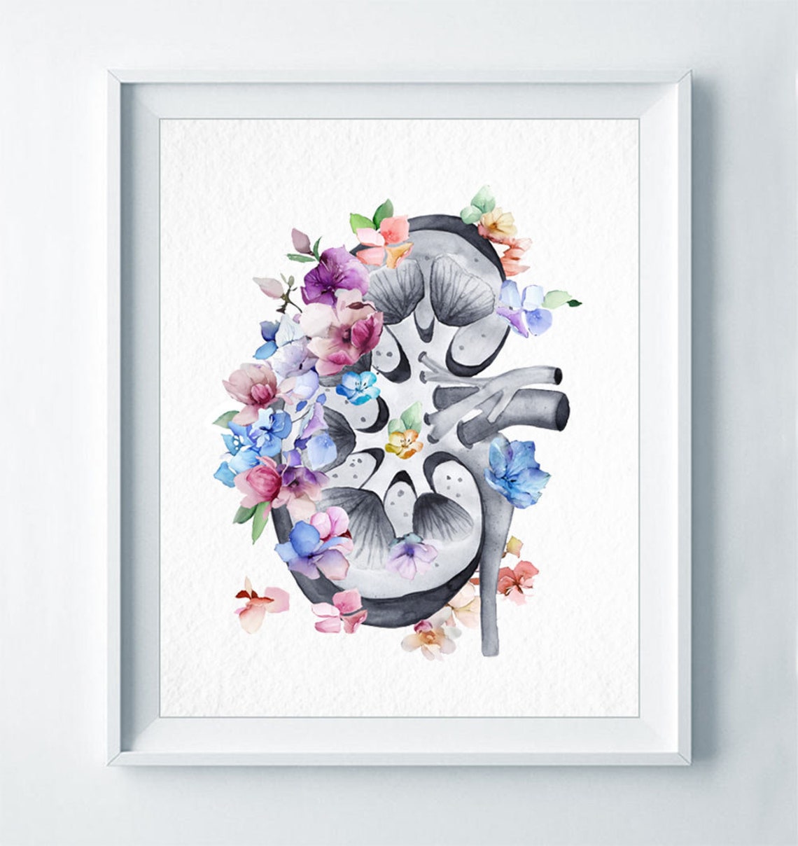 Kidney Art Print Anatomy Print Anatomical Poster Nephrology - Etsy