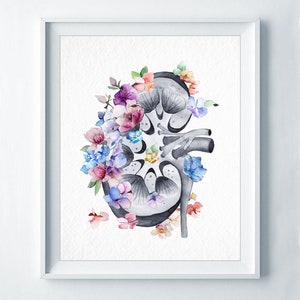 Kidney Art Print Anatomy Print Anatomical Poster Nephrology Print ...