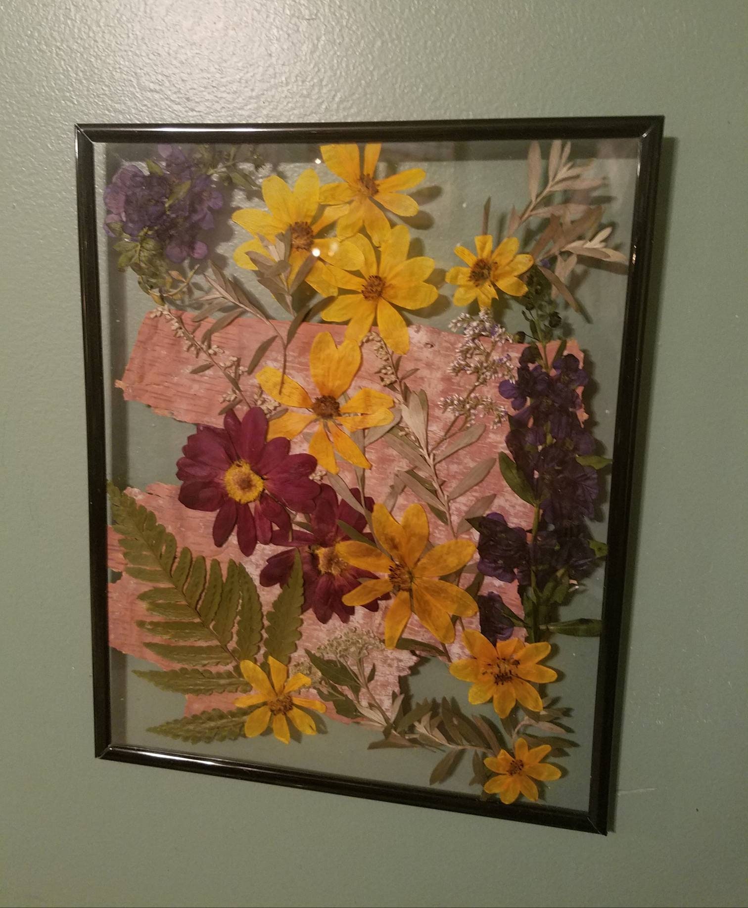 Dried Flower Art in Floating Frame Botanical Art Pressed | Etsy