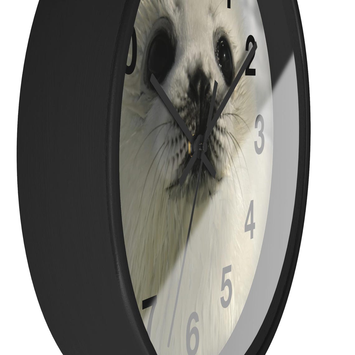Arctic Seal Sea Lion Wall Clock - Etsy