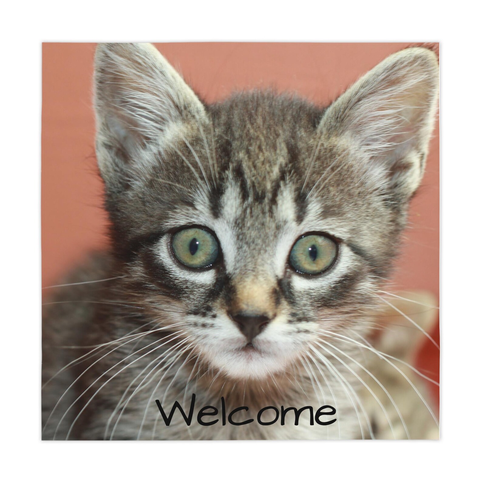 Welcome Kitten Cat Kitty Cat Tablecloth - Etsy