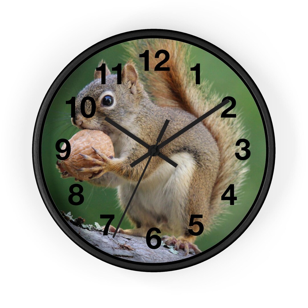 10" Squirrel Wall Clock - Etsy