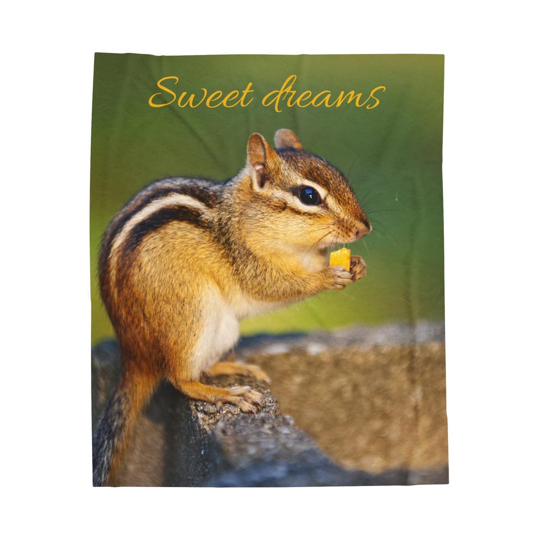 50"x60" Sweet Dreams Chipmunk Blanket Velveteen Plush Blanket - Etsy