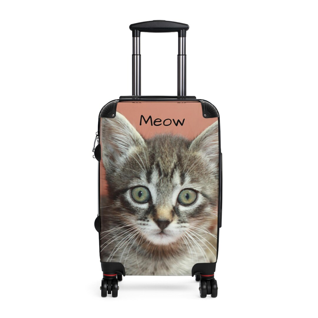 Cat Carry on Suitcase for Travel, Small Suitcase With Cute Cat Design ...
