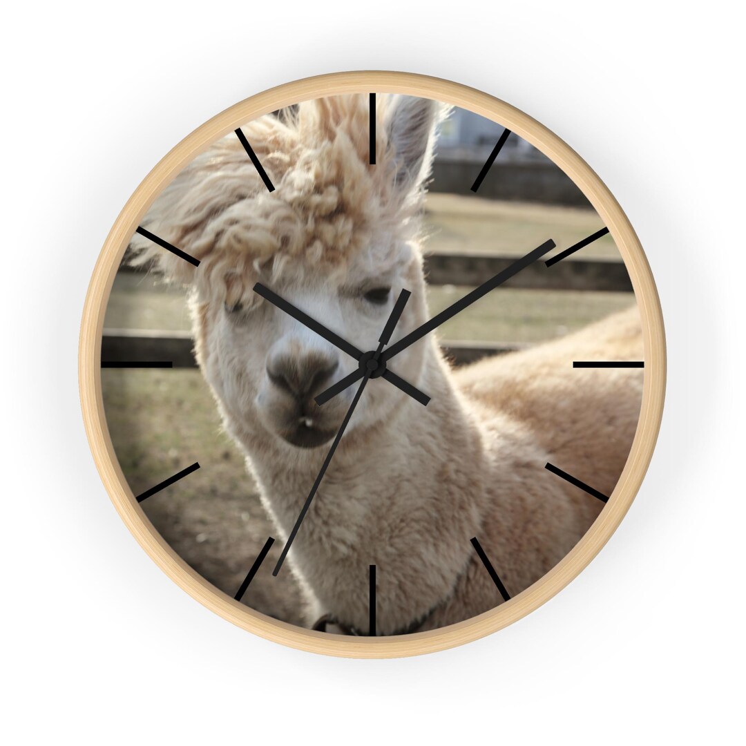 Llama Wall Clock - Etsy