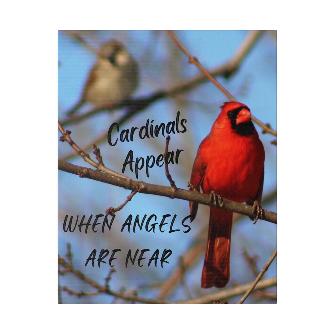 16"x20" Cardinals Appear When Angels Are Near Matte Canvas, Stretched ...