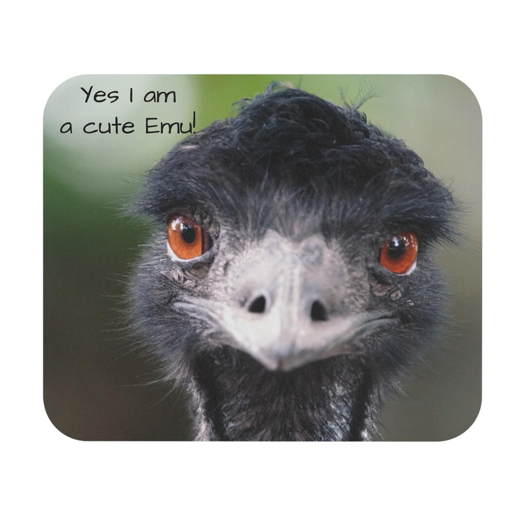 Emu, and You? Emu Mouse Pad (rectangle) - Etsy