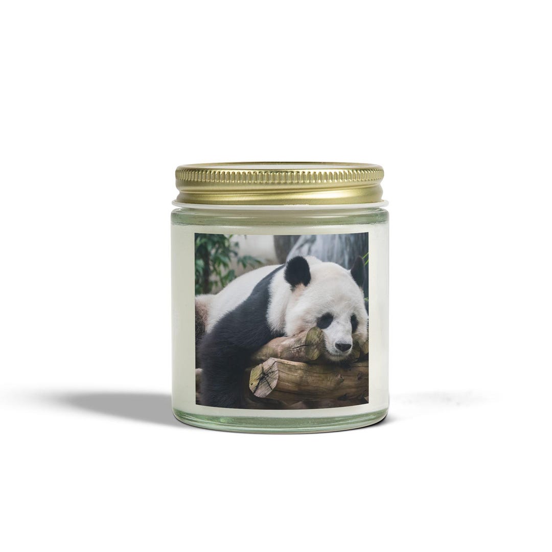 Cozy Panda Candle: Coconut Apricot Wax, Aromatherapy Scented Candle - Etsy