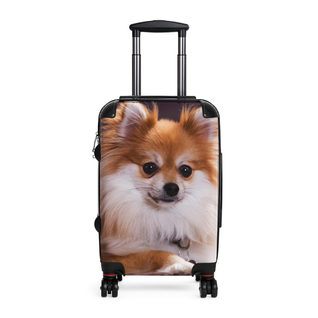 Cure Dog Travel Bag, Animal Luggage, Puppy Dog Small Carry on Suitcase ...