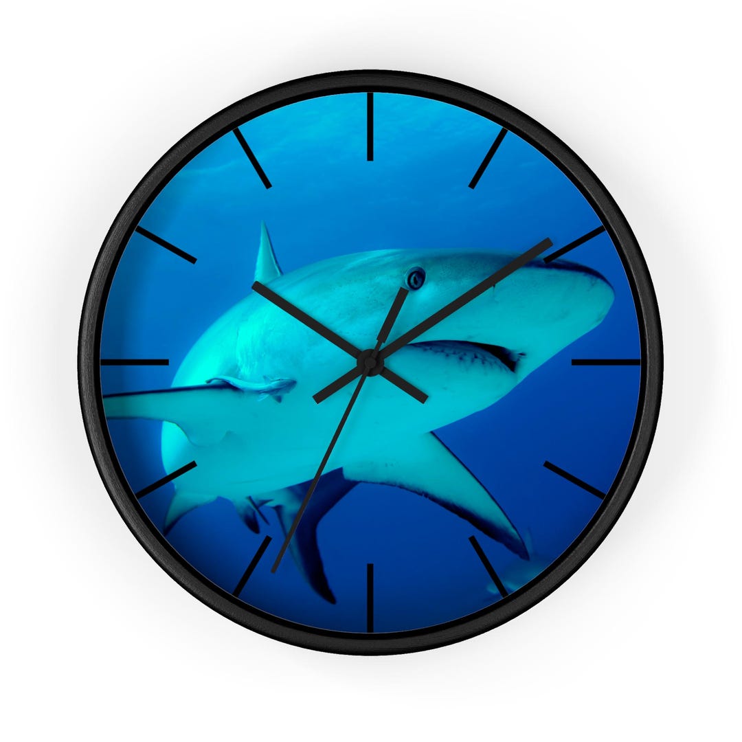 Shark 10" Wall Clock - Etsy