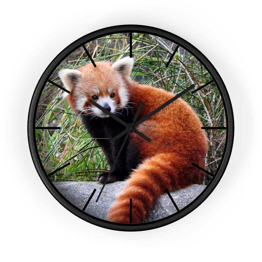 Red Panda Wall Clock, Animal Accent Decor, 10-inch - Etsy