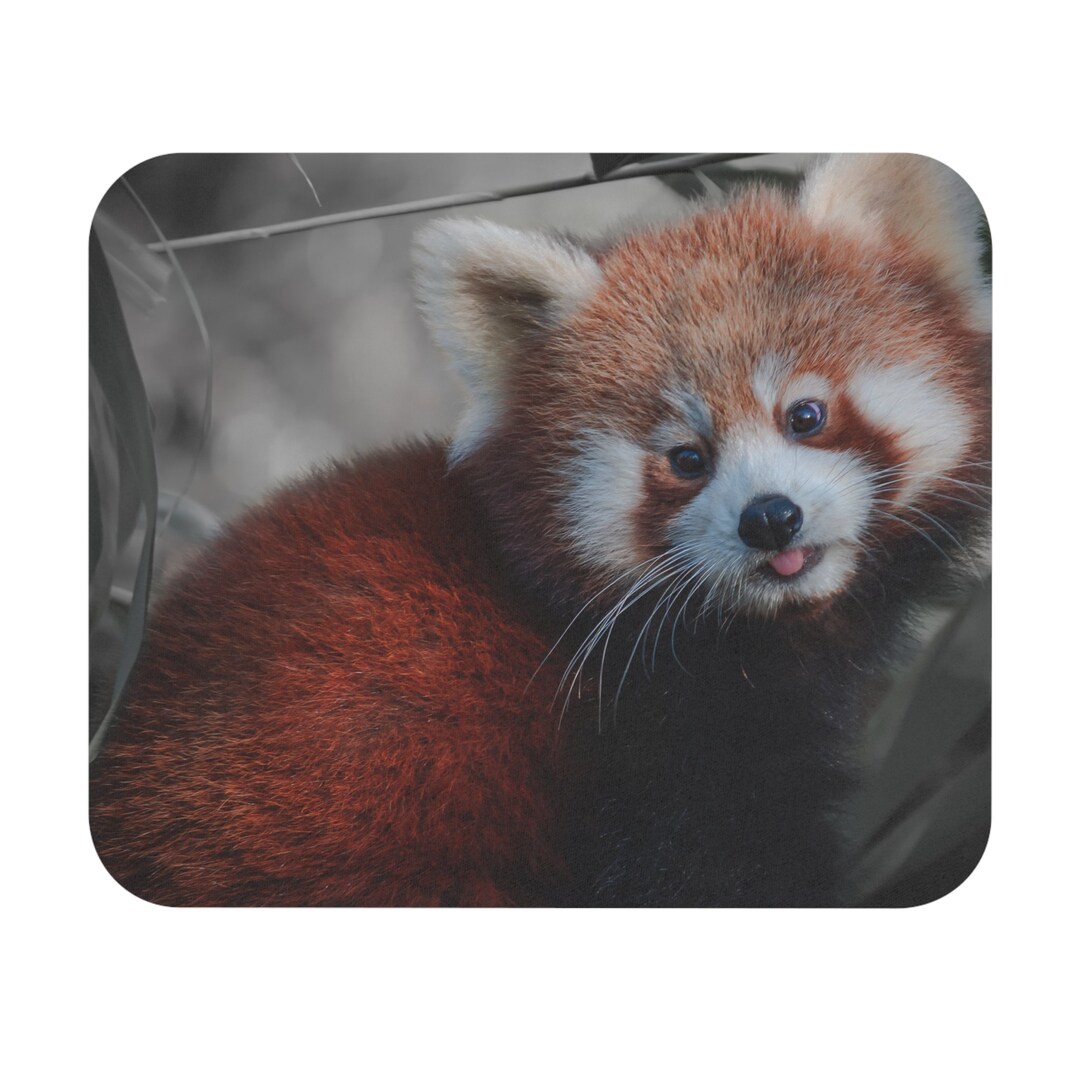 9"x8" Red Panda Mouse Pad (rectangle) - Etsy