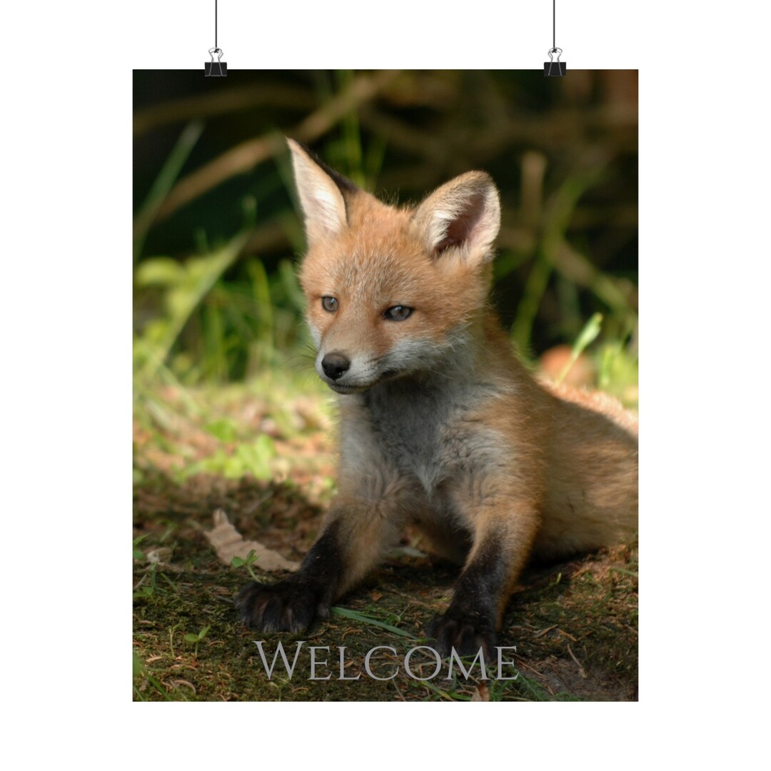 16"x20" Welcome Baby Fox Matte Vertical Poster - Etsy