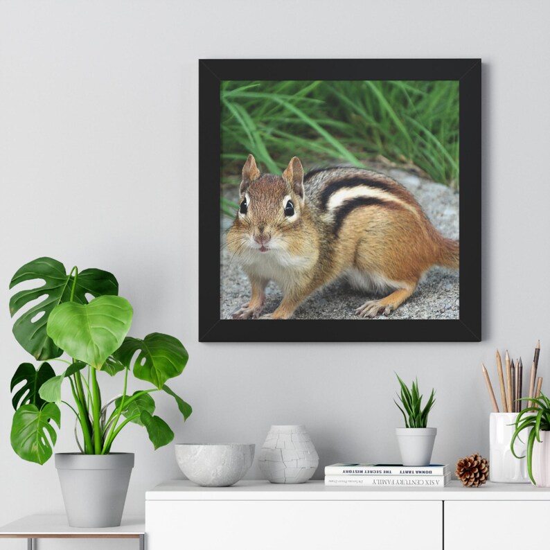 16"x16" Chipmunk Framed Vertical Poster - Etsy