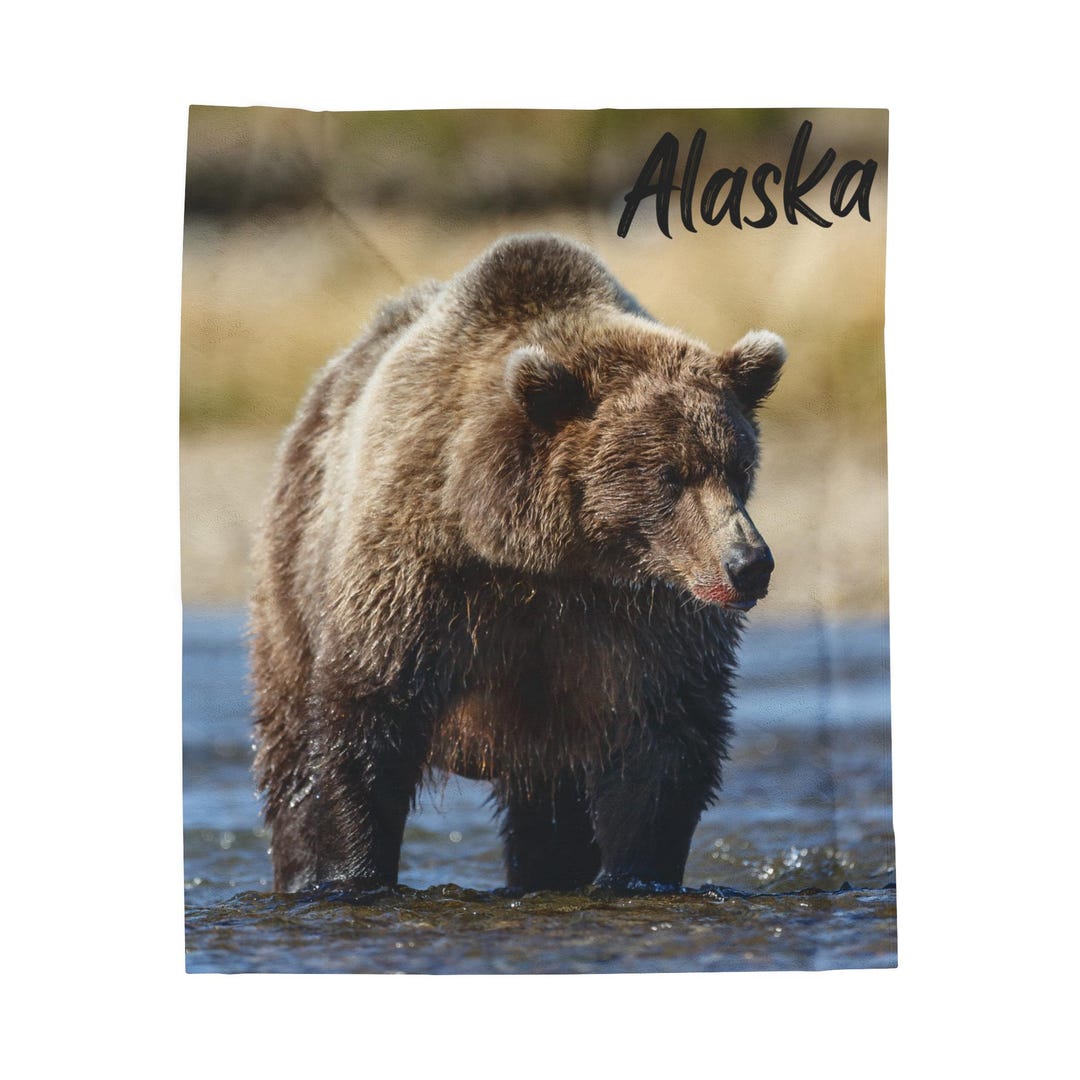 50"x60" Alaska Brown Bear Grizzly Bear Velveteen Plush Blanket - Etsy