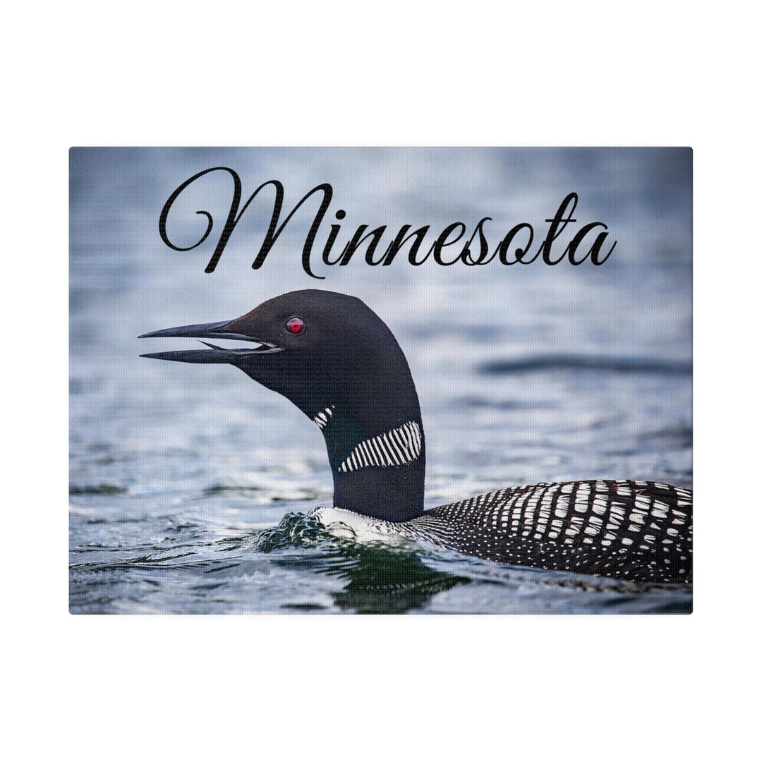 12"x9" Minnesota Loon State Bird Matte Canvas, Stretched, 0.75" - Etsy