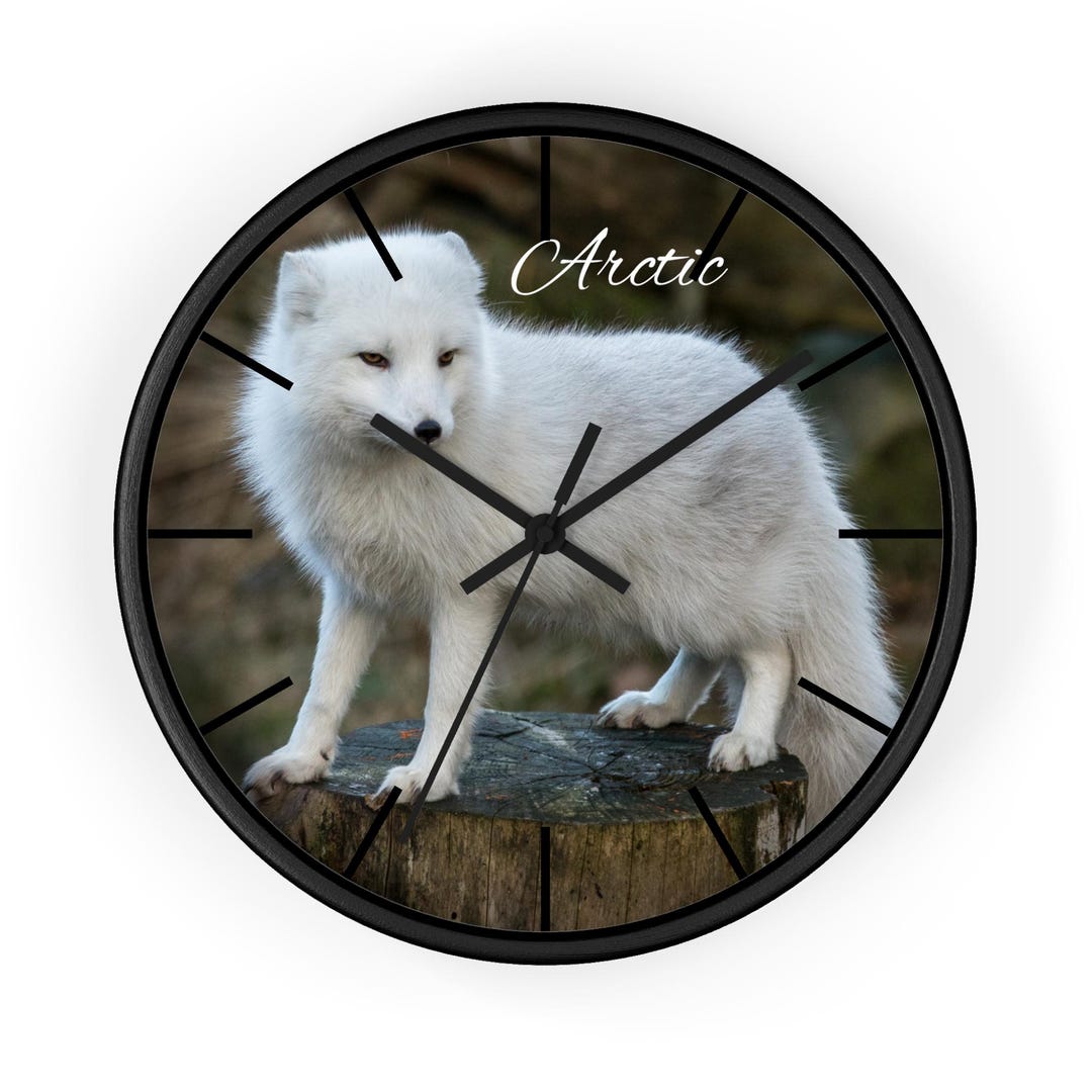 Arctic Fox Wall Clock: Modern Wildlife Decor (10" X 10") - Etsy