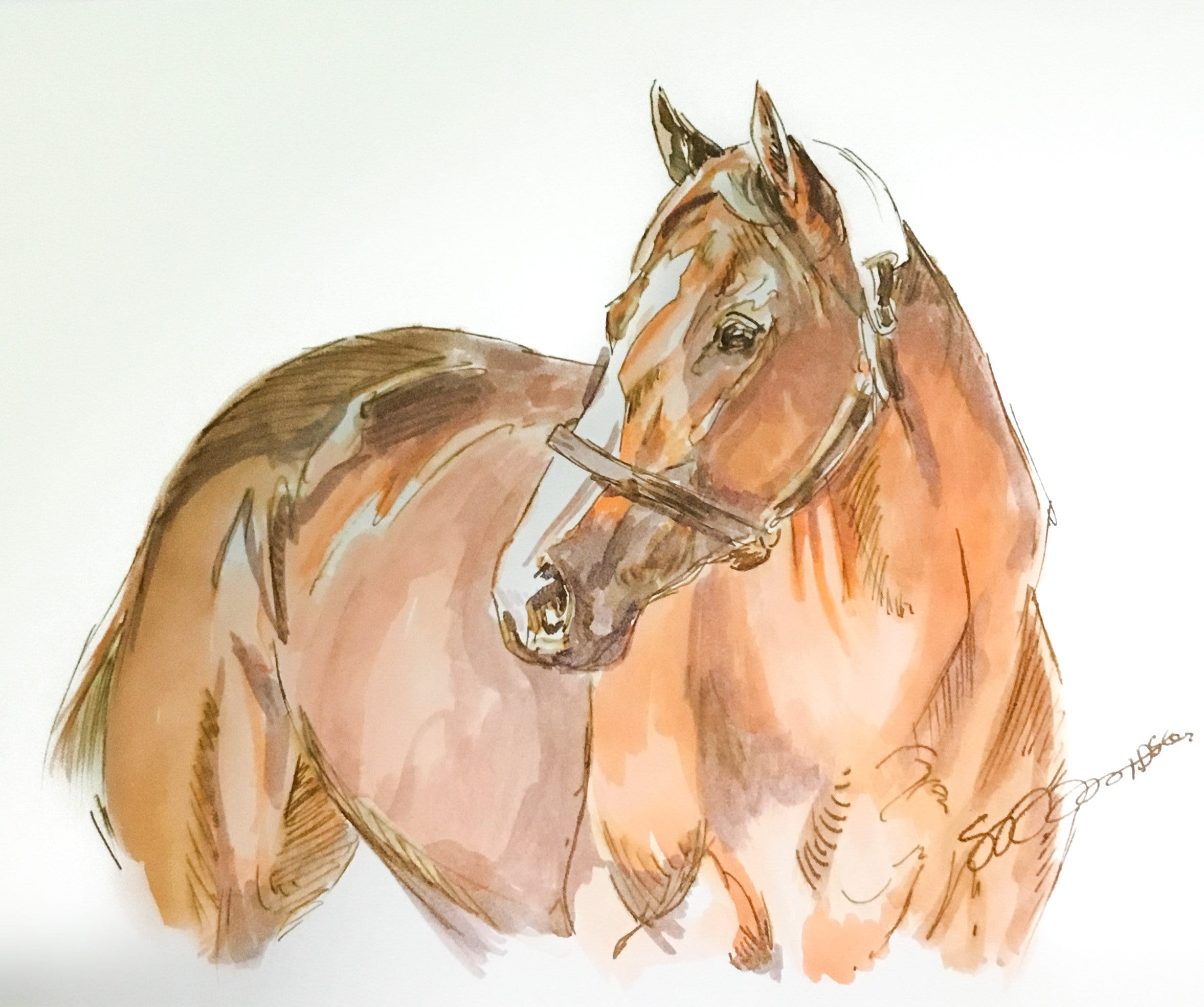 Original Artwork, Ink Drawing of “justify” the 2018 Triple Crown Winner ...