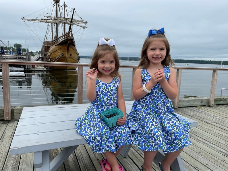 Blueberry Sweet One Berry Sweet Twirly Dress- Toddler and Girls Circle ...