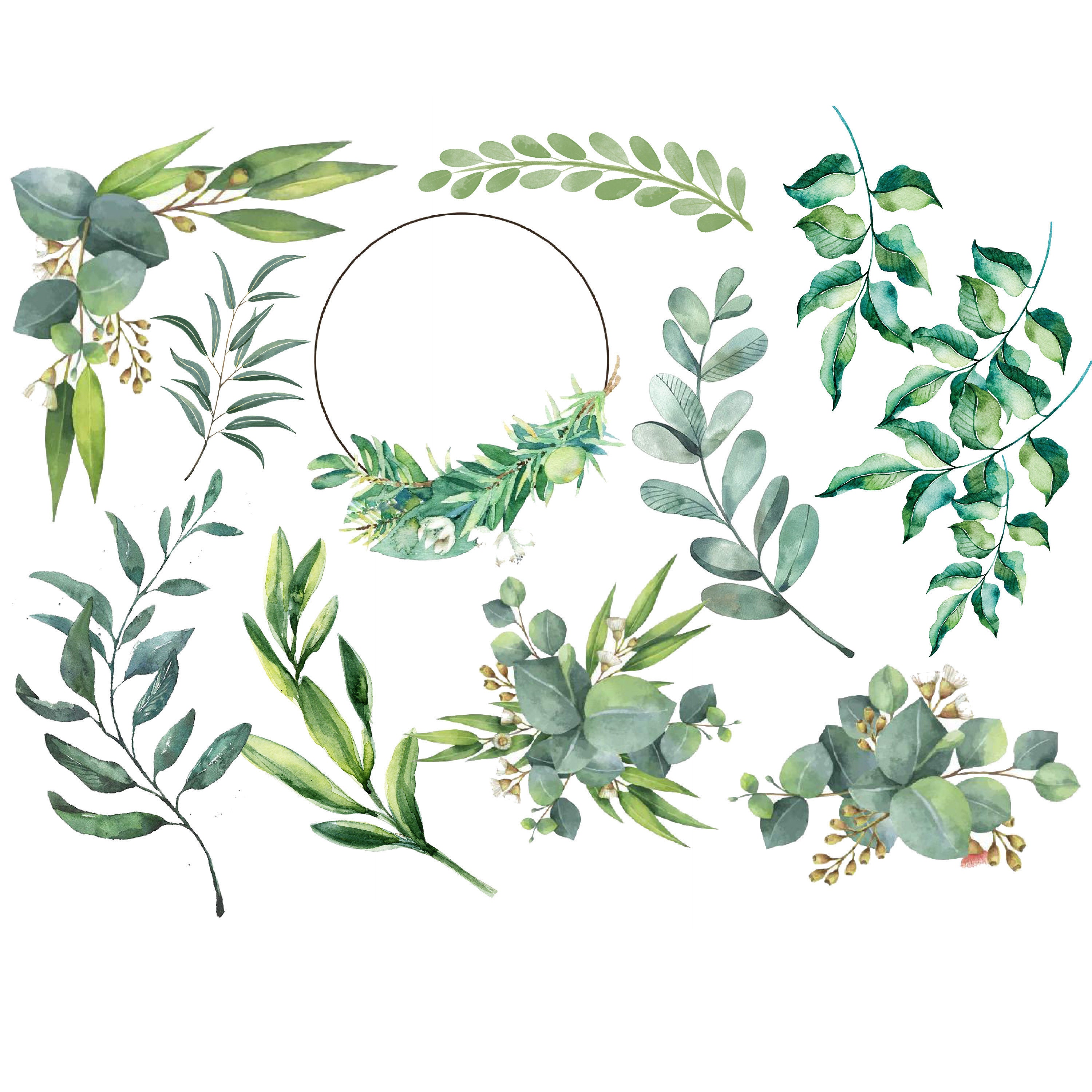 Visual Arts Paper Green Leaf Leaves Watercolor Clipart Set Watercolor ...