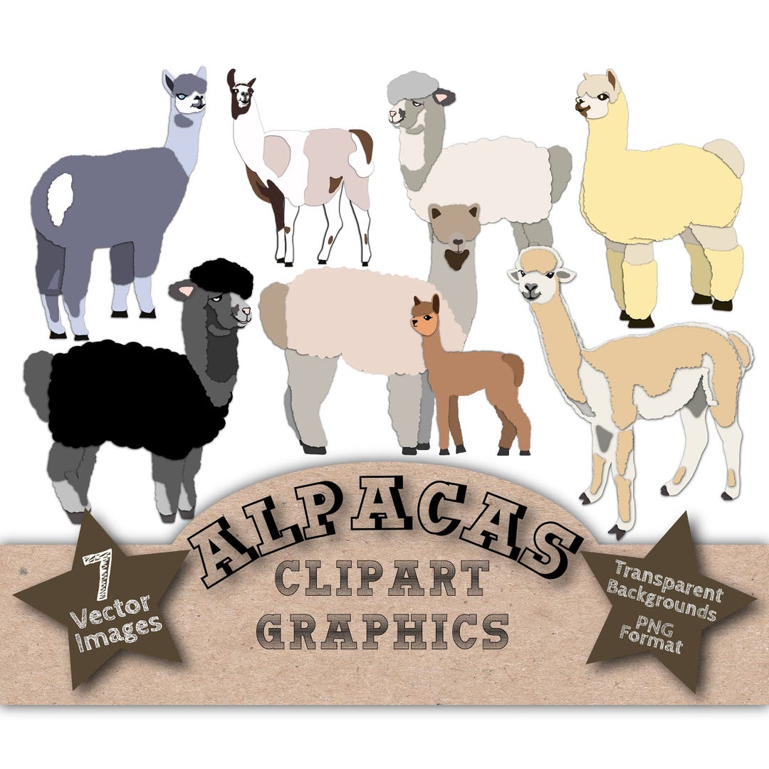 Alpaca Clip Art Clipart Alpacas Alpaca Vectors Alpaca - Etsy