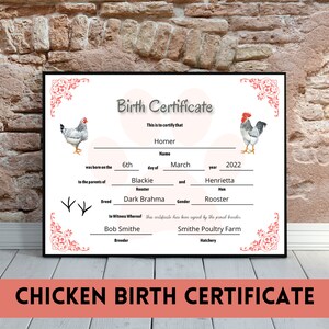 Chicken Printable Birth Certificate Breeder Record Poultry History 4H ...