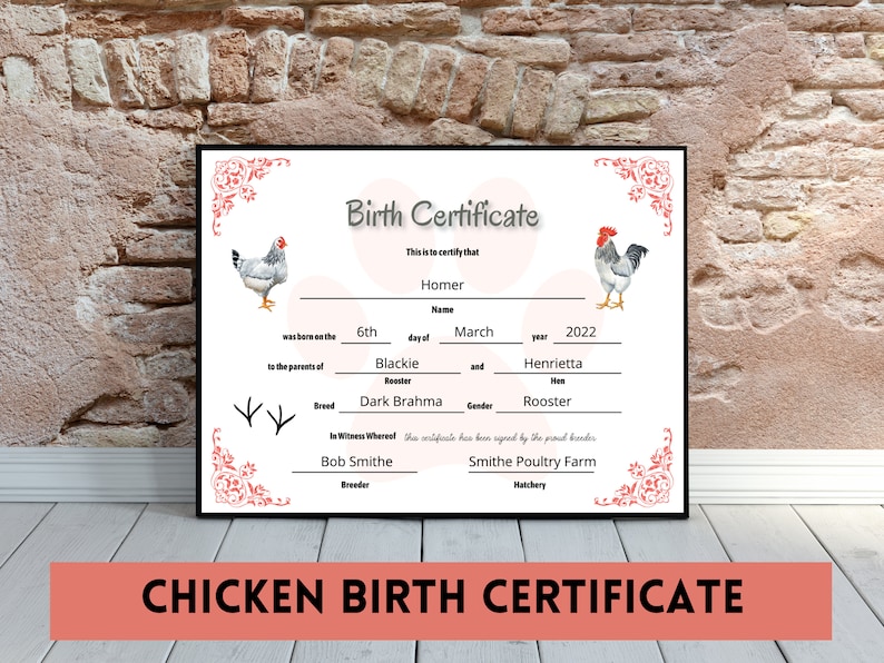 Chicken Printable Birth Certificate Breeder Record Poultry History 4H ...