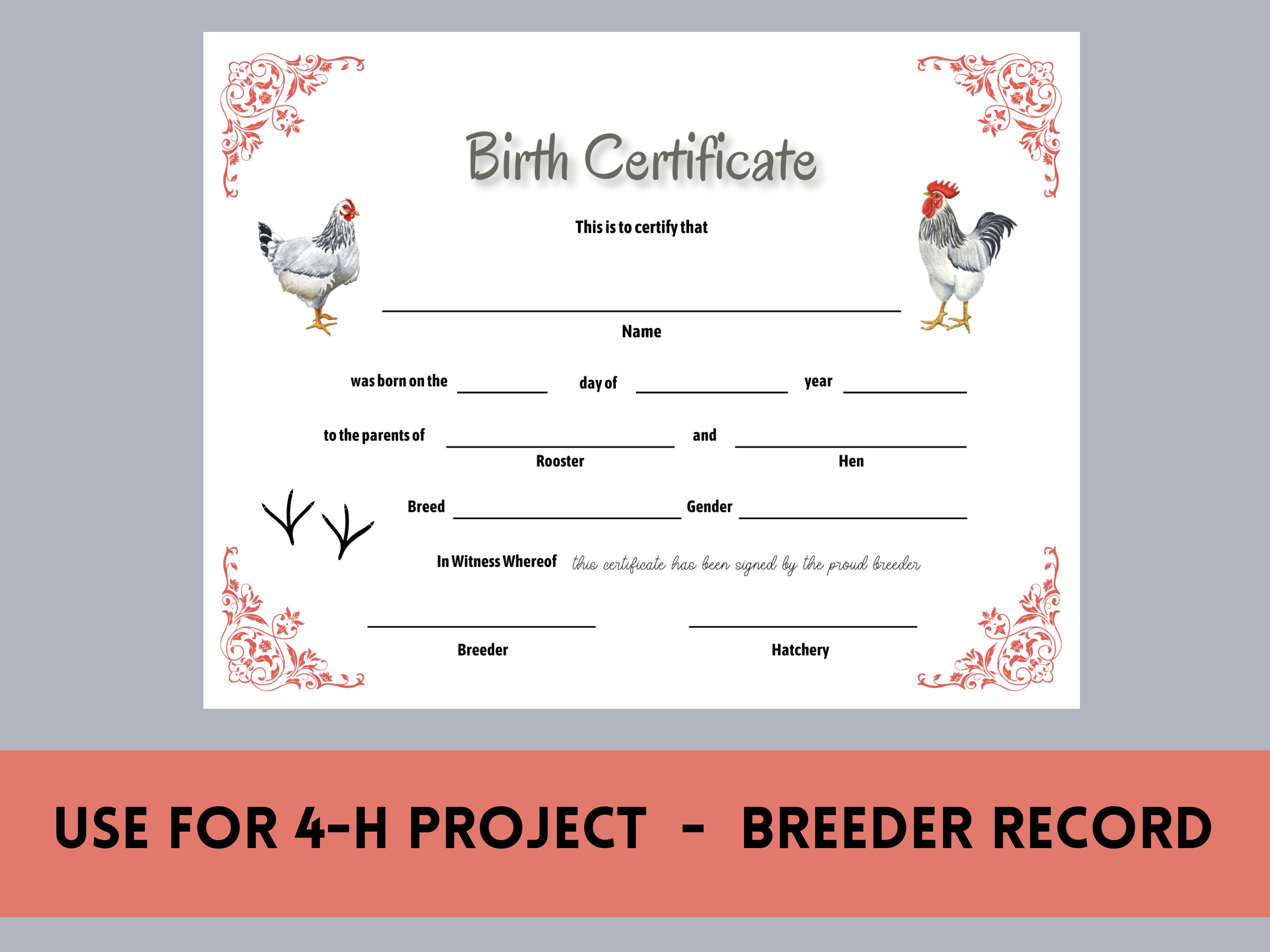 Chicken Printable Birth Certificate Breeder Record Poultry History 4H ...